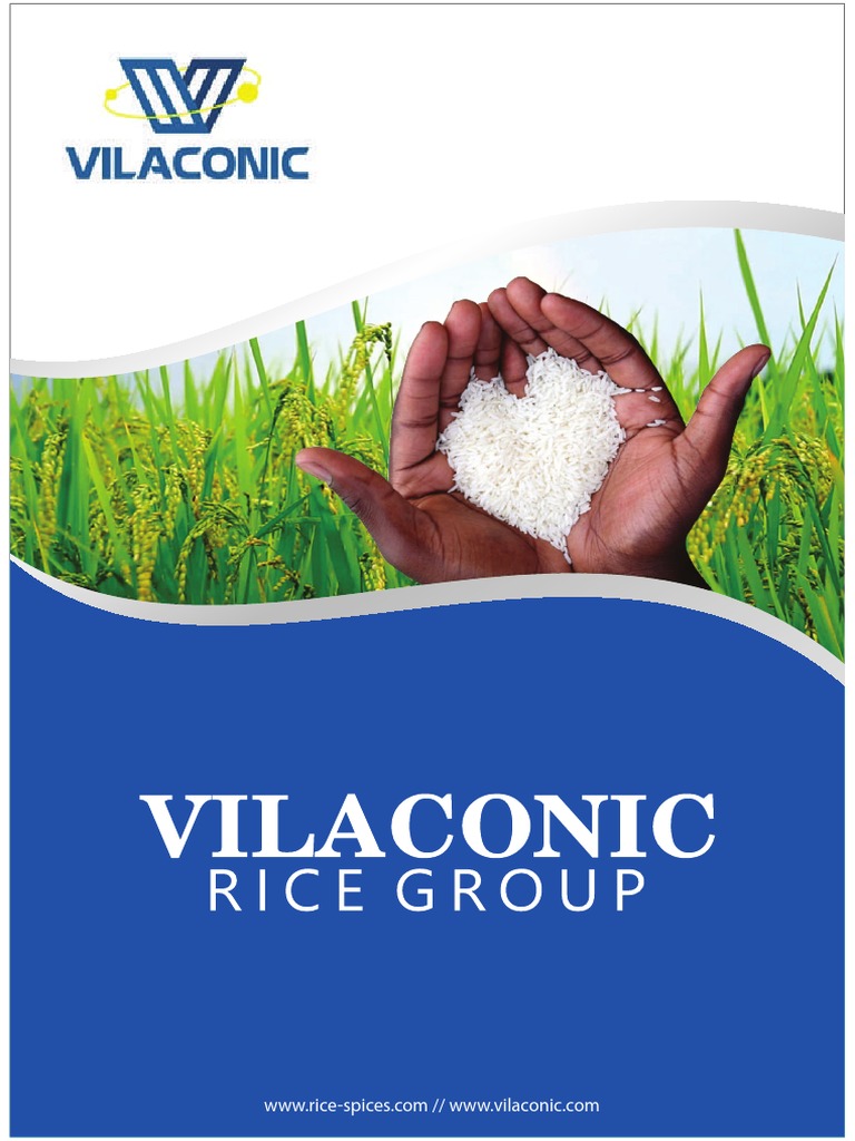 Vilaconic Rice Brochure PDF | PDF