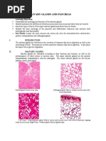 Appendix Histology Overview | PDF | Gastrointestinal Tract | Organ ...