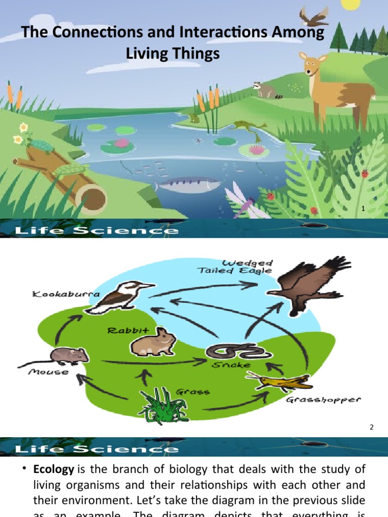 I.C. The Connections and Interactions Among Living Things | PDF ...