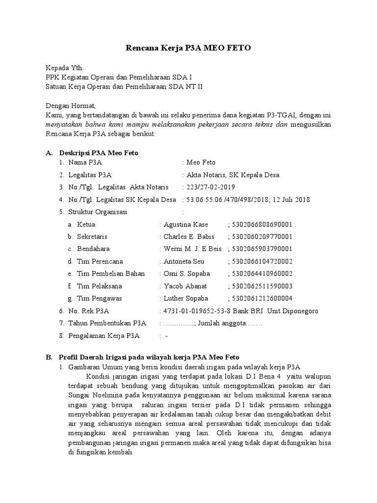 Rencana Kerja P3A Meo Feto | PDF