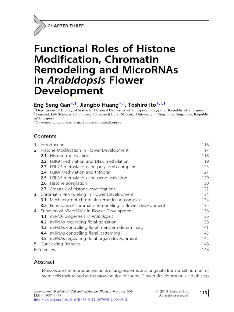 Functional Roles of Histone Modification, Chromatin Remodeling and ...
