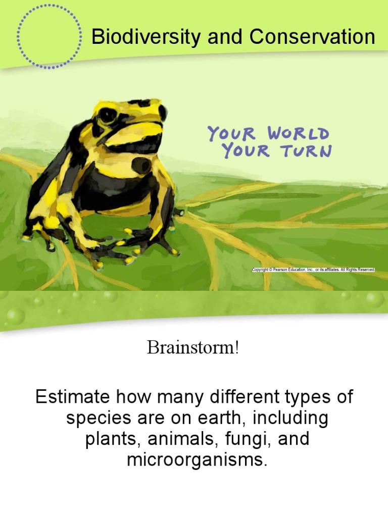 Understanding Biodiversity: Exploring the Variety of Life on Earth ...