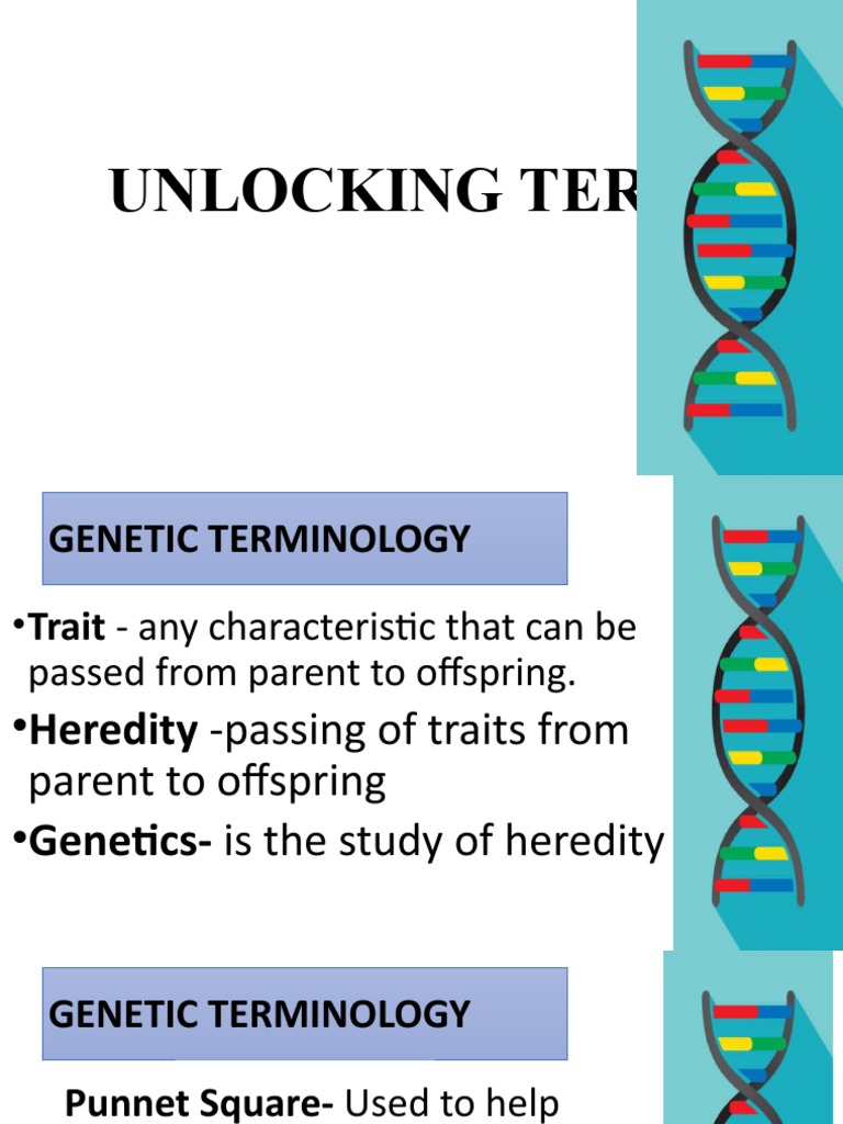 GENETICS | PDF | Dominance (Genetics) | Zygosity