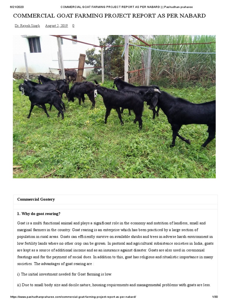 COMMERCIAL GOAT FARMING PROJECT REPORT AS PER NABARD - Pashudhan ...