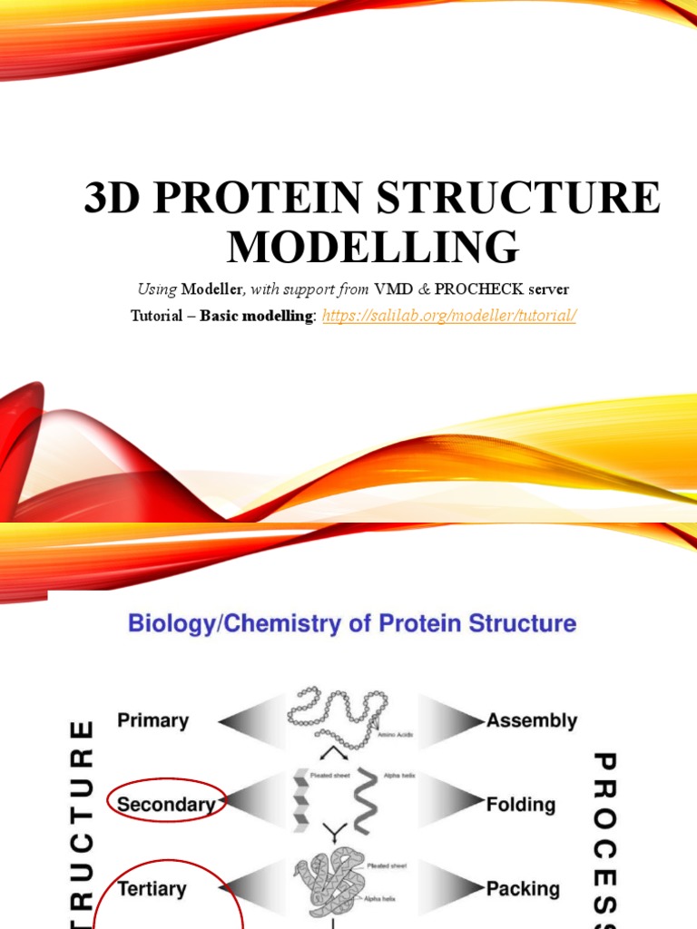 Lab 5 - 3D Structure Modelling | PDF | Sequence Alignment ...