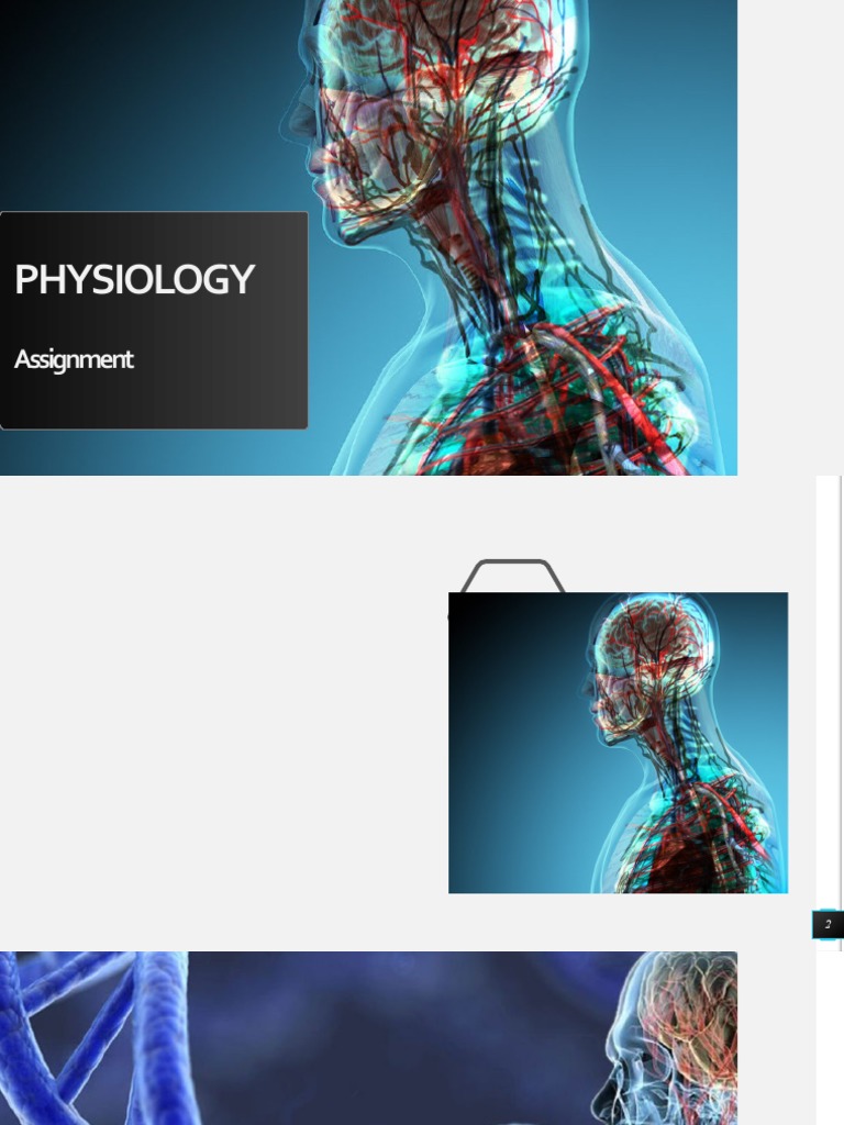 Presentation Title Physiology: Assignment | PDF | Science & Mathematics ...