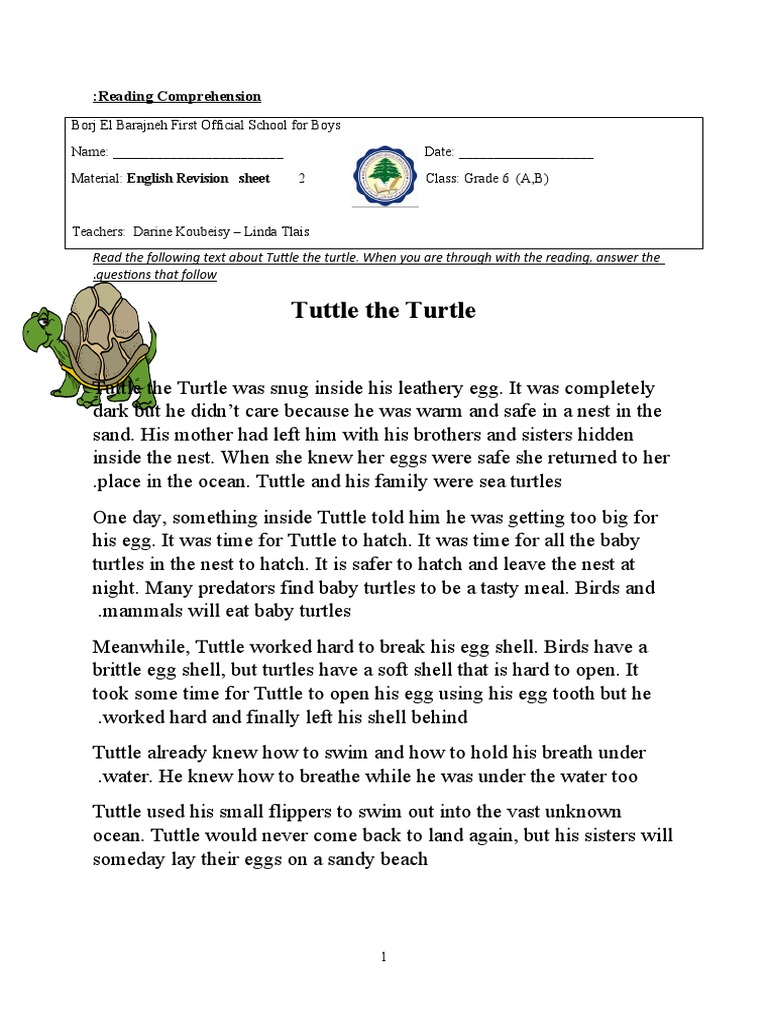 Grade 6 All Sections English Revision Sheet | PDF | Nest | Turtle