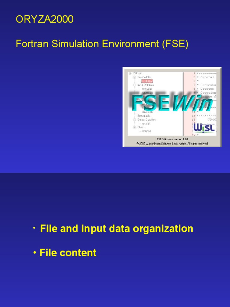FORTRAN Simulation Environment (FSE) | PDF | Rice | Modeling And Simulation