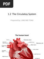 Cardiovascular System | PDF | Atrium (Heart) | Heart