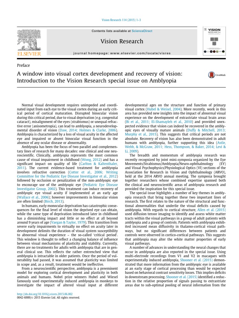 A Window into Visual Cortex Development and Recovery of Vision: Introduction to the Vision ...