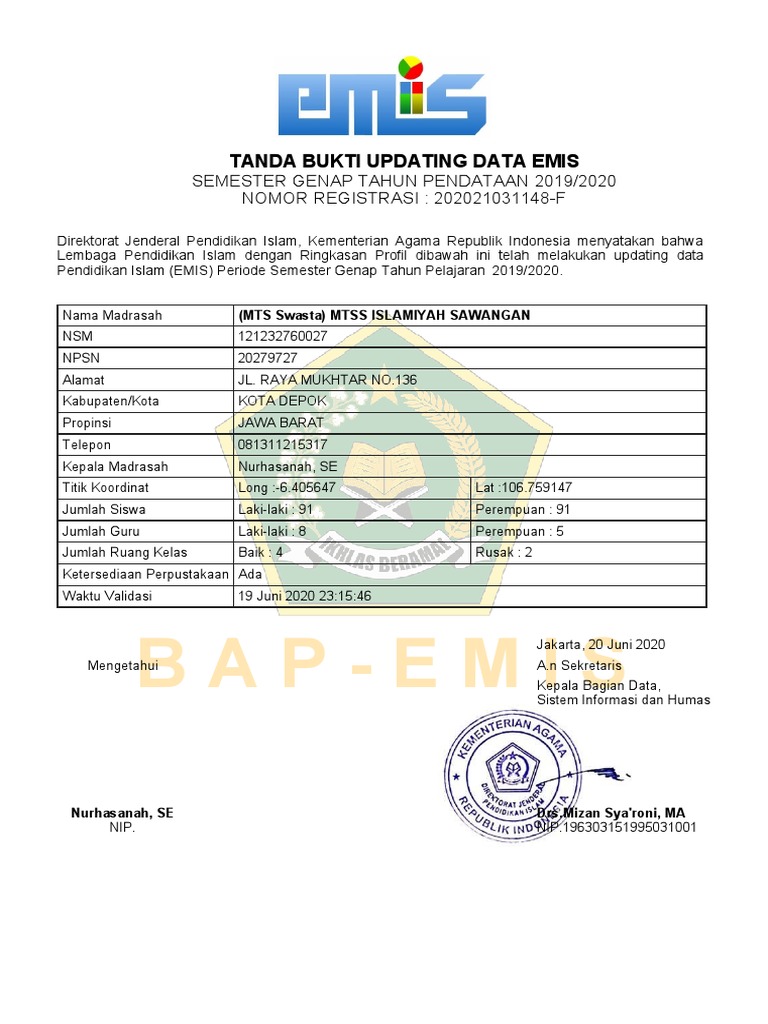 BAP EMIS Print | PDF