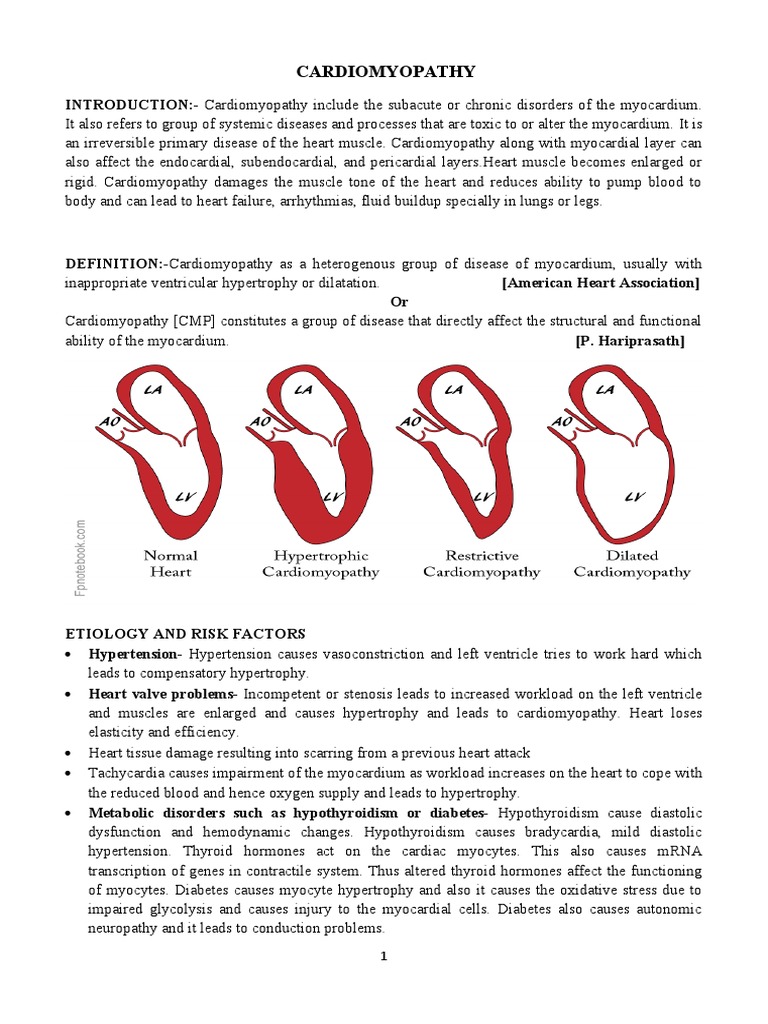 Cardiomyopathy | PDF | Heart | Cardiac Muscle