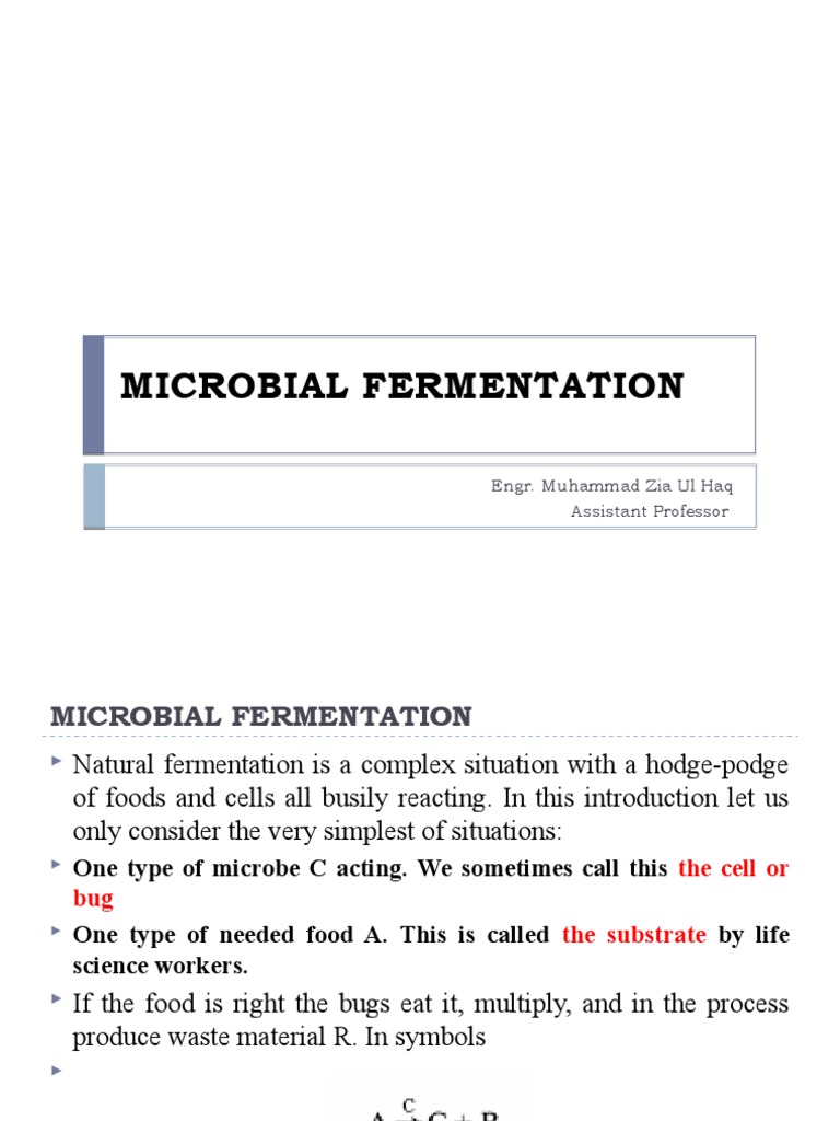 Microbial Fermentation | PDF | Fermentation | Chemistry