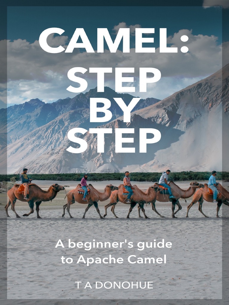 Camel Step-by-Step Guide for Beginners | PDF | Java (Programming ...