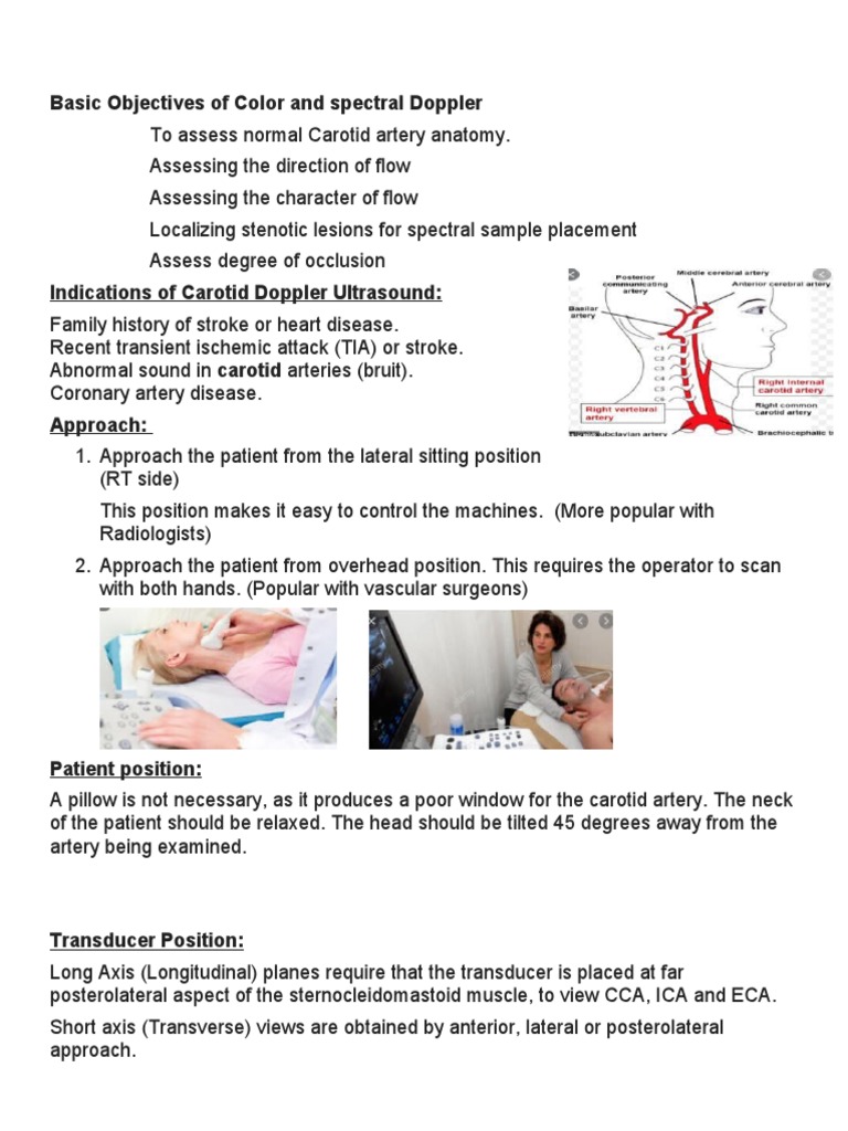 Carotid Doppler Intro Pdf Common Carotid Artery Artery