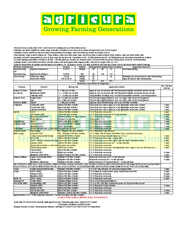 Cabbage Production Guidelines for 1 Ha | PDF | Cabbage | Soil