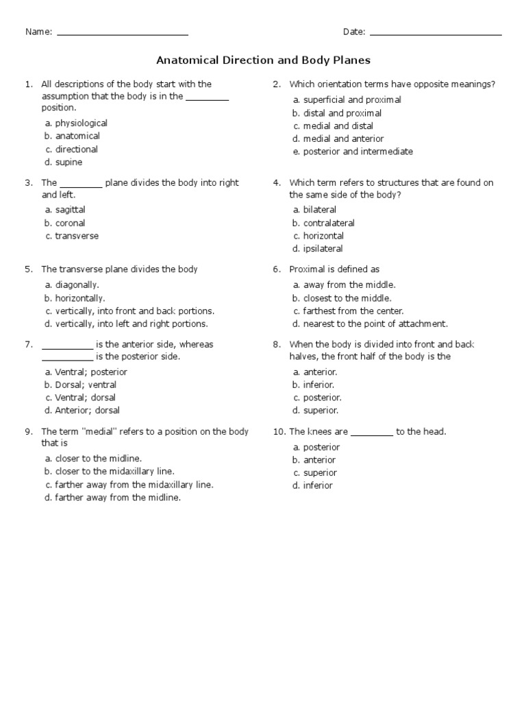 Anatomical Direction and Body Planes | Download Free PDF | Anatomical ...