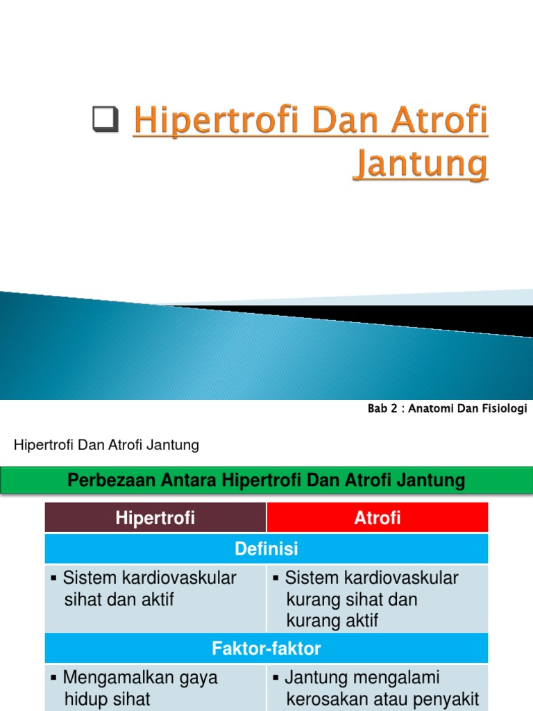 Perbezaan Hipertrofi dan Atrofi Jantung | PDF