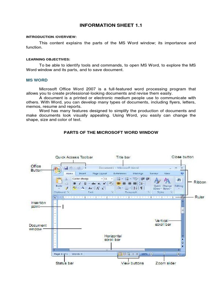Information Sheet 1.1: Ms Word | PDF | Microsoft Word | Graphical User ...