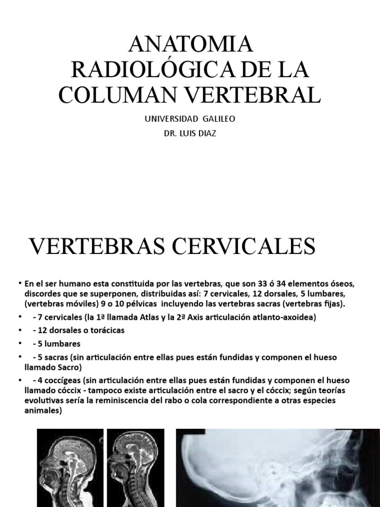 6.1 Anatomia Radiol Gica de La Columan Vertebral | PDF | Vértebra | Anatomía humana