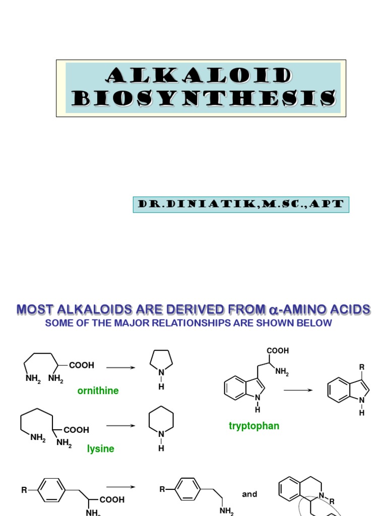 Alkaloid Biosynthesis: DR - Diniatik, M.sc.,apt | PDF | Alkaloid ...