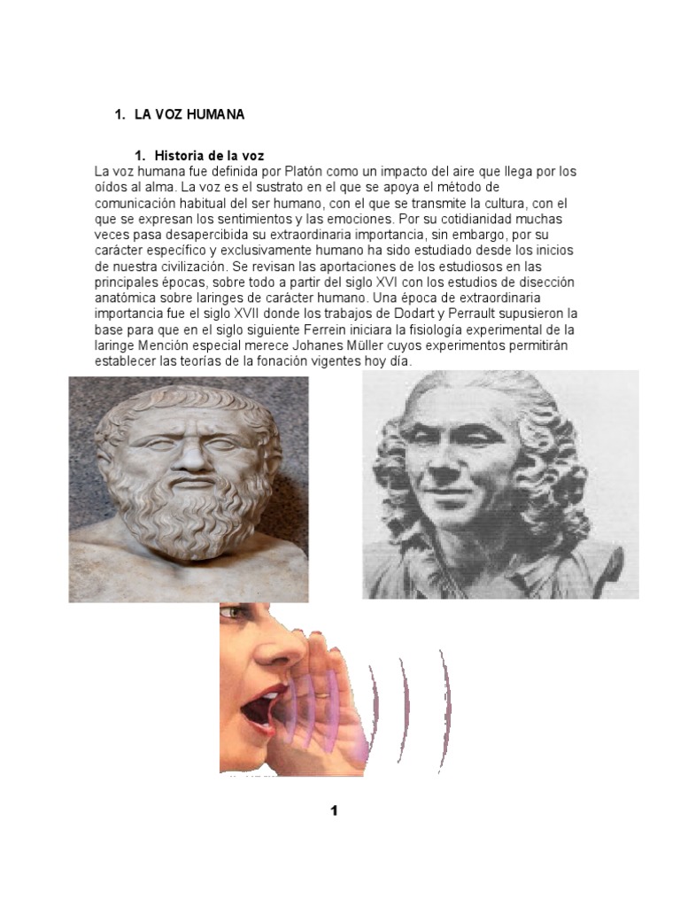 Historia de La Voz - Música | PDF | Pitch (Música) | Garganta Humana