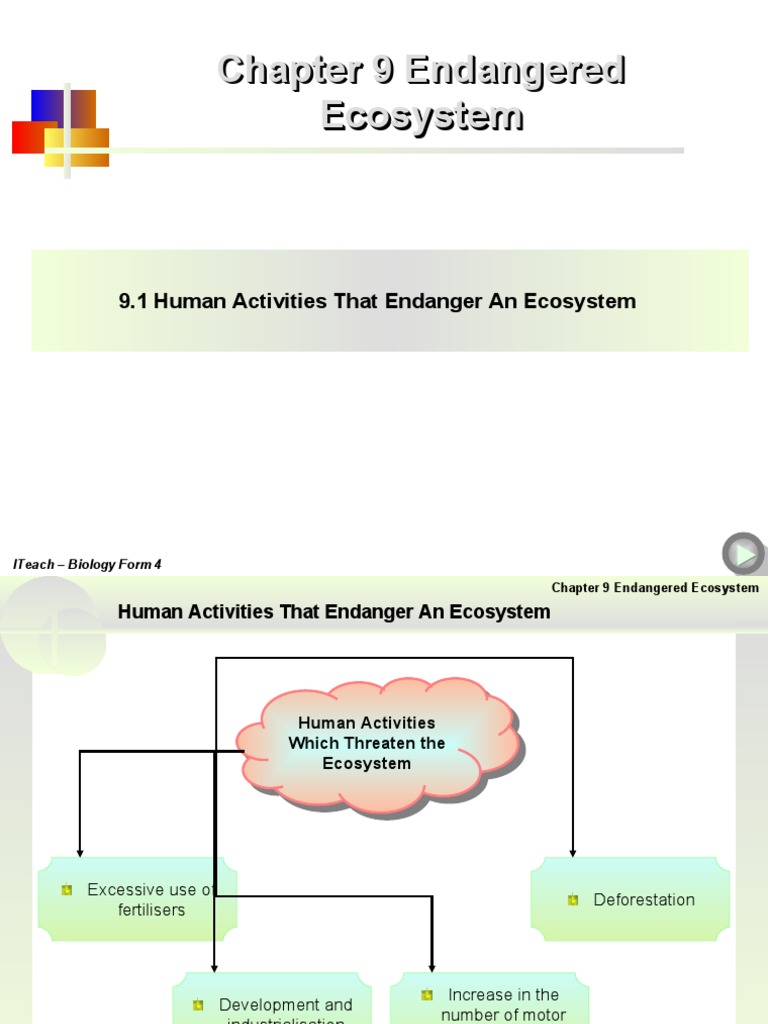 Human Impact on Endangered Ecosystems | PDF | Greenhouse Effect | Human ...