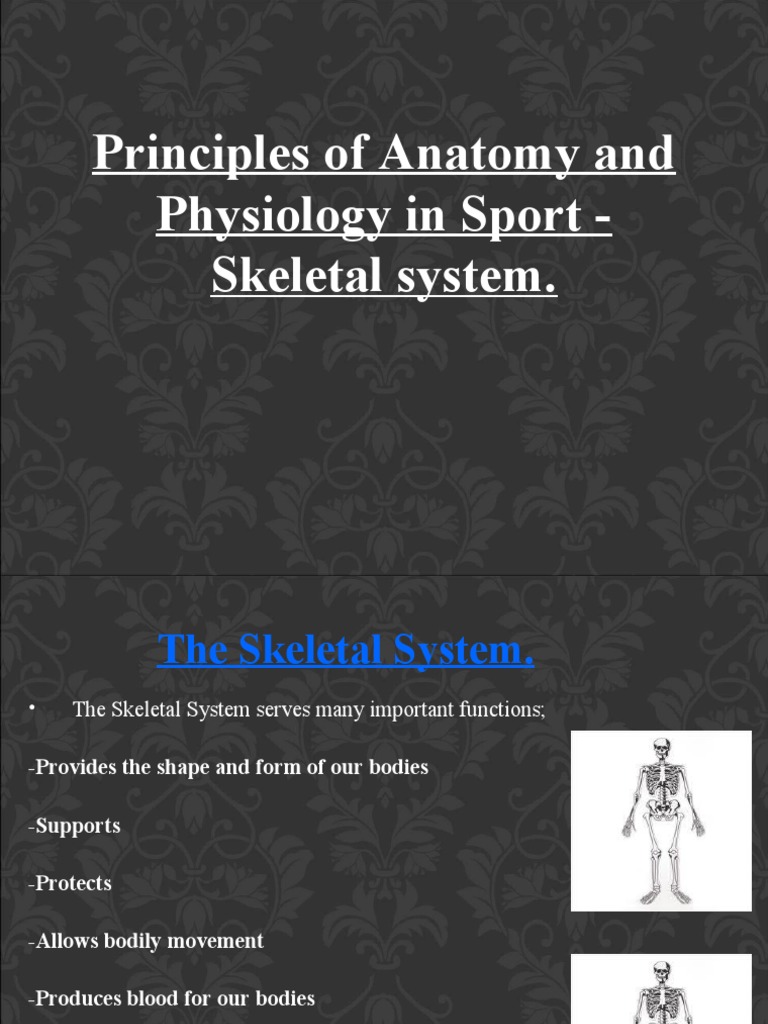 Principles of Anatomy and Physiology in Sport | PDF | Nature | Muscle ...