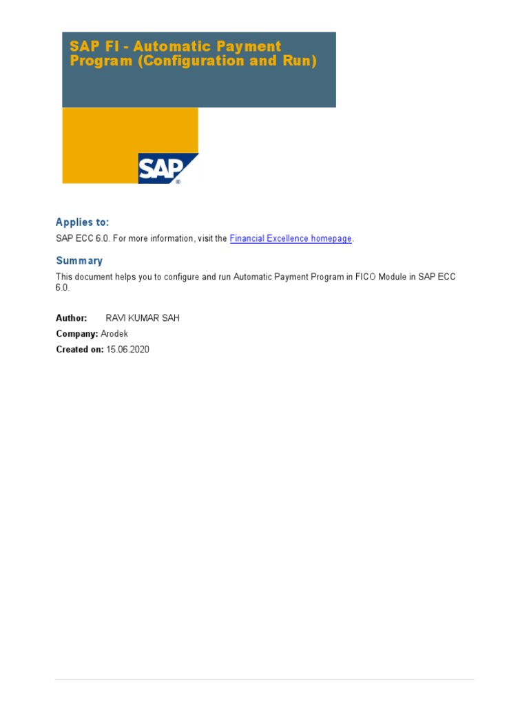 SAP FI - Automatic Payment Program (Configuration and Run) | PDF | Financial Transaction | Payments