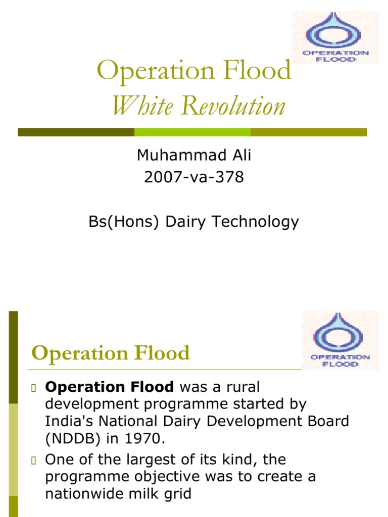 Operation Flood: India's White Revolution | PDF | Food Industry | Food ...