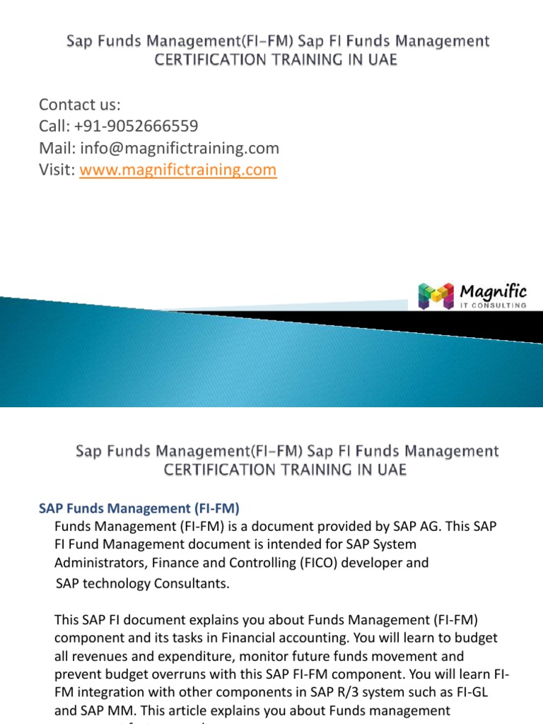 SAP Funds Management | PDF | System | Hierarchy