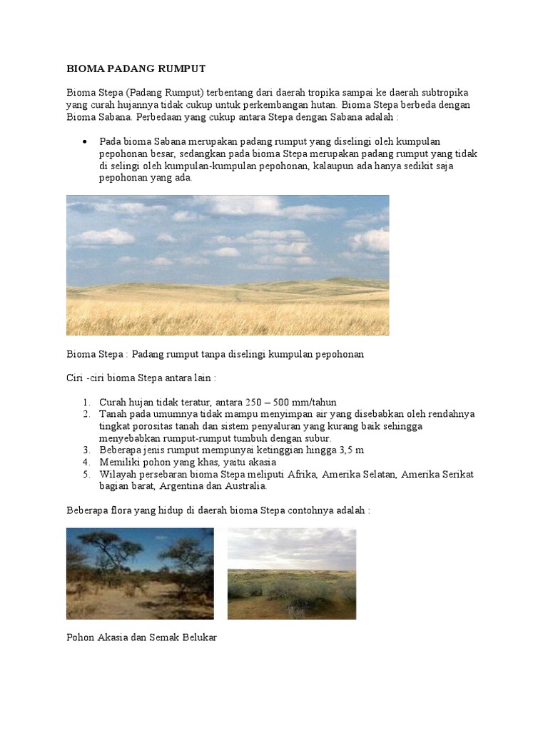 Bioma Padang Rumput | PDF