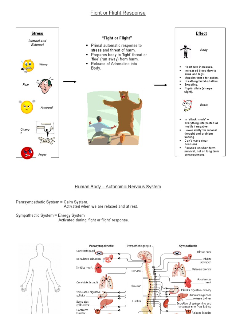 Behaviour Support Explaining Neuroscience Fightor Flight Response | PDF ...