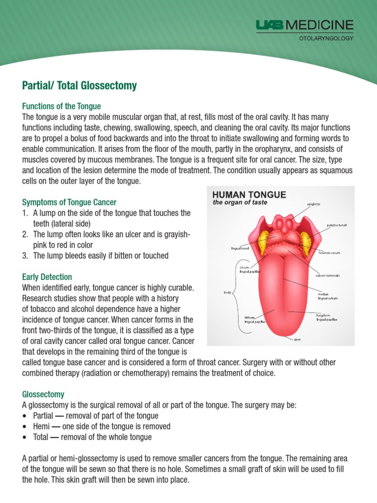 Glossectomy: Types and Tongue Cancer Care | PDF | Tongue | Cancer
