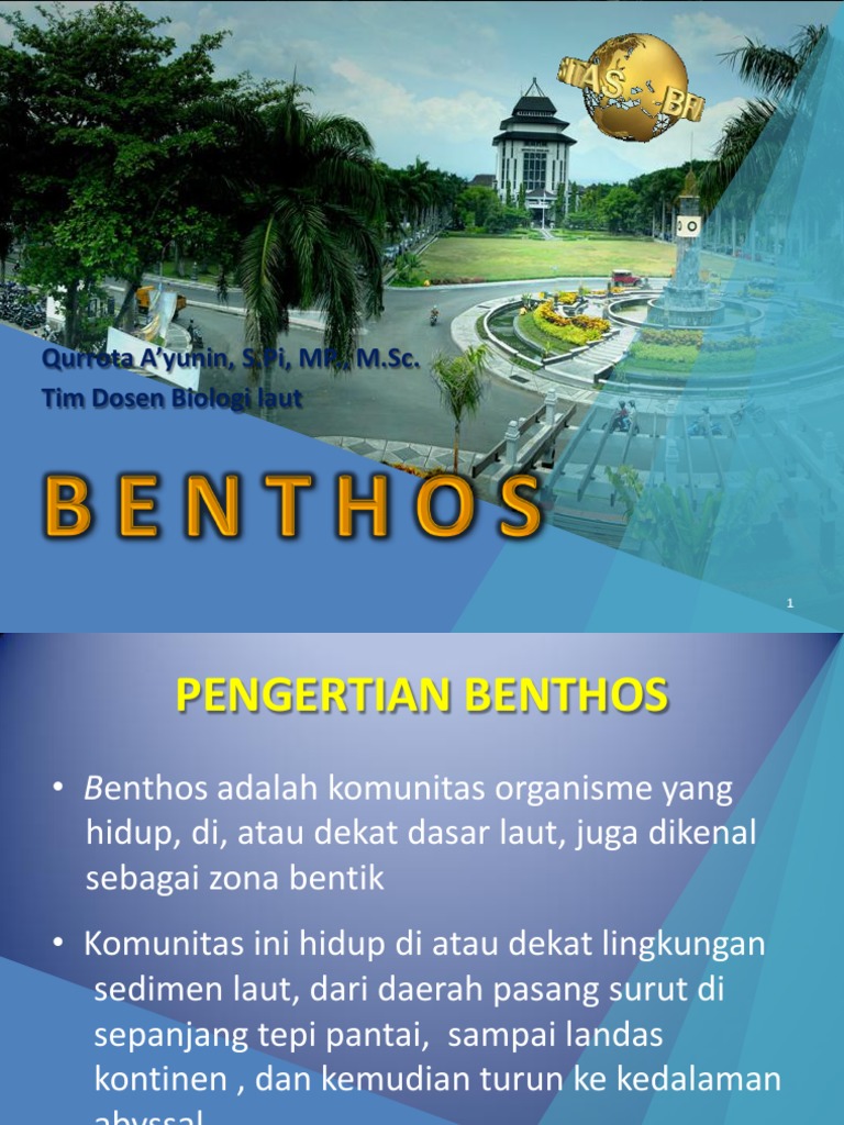 Biola Benthos | PDF