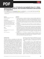 Autopsy of A Dill Pickle Person Lab | PDF | Abdomen | Anatomical Terms ...