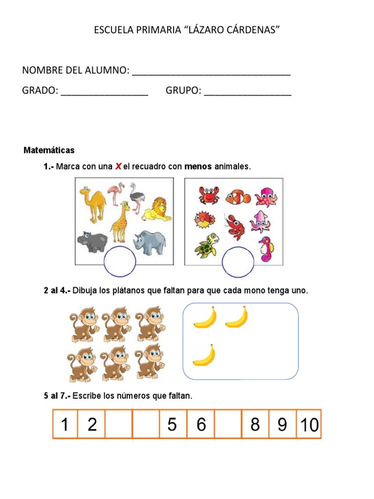 Examen Diagnostico Primer Grado 2019-2020 | PDF