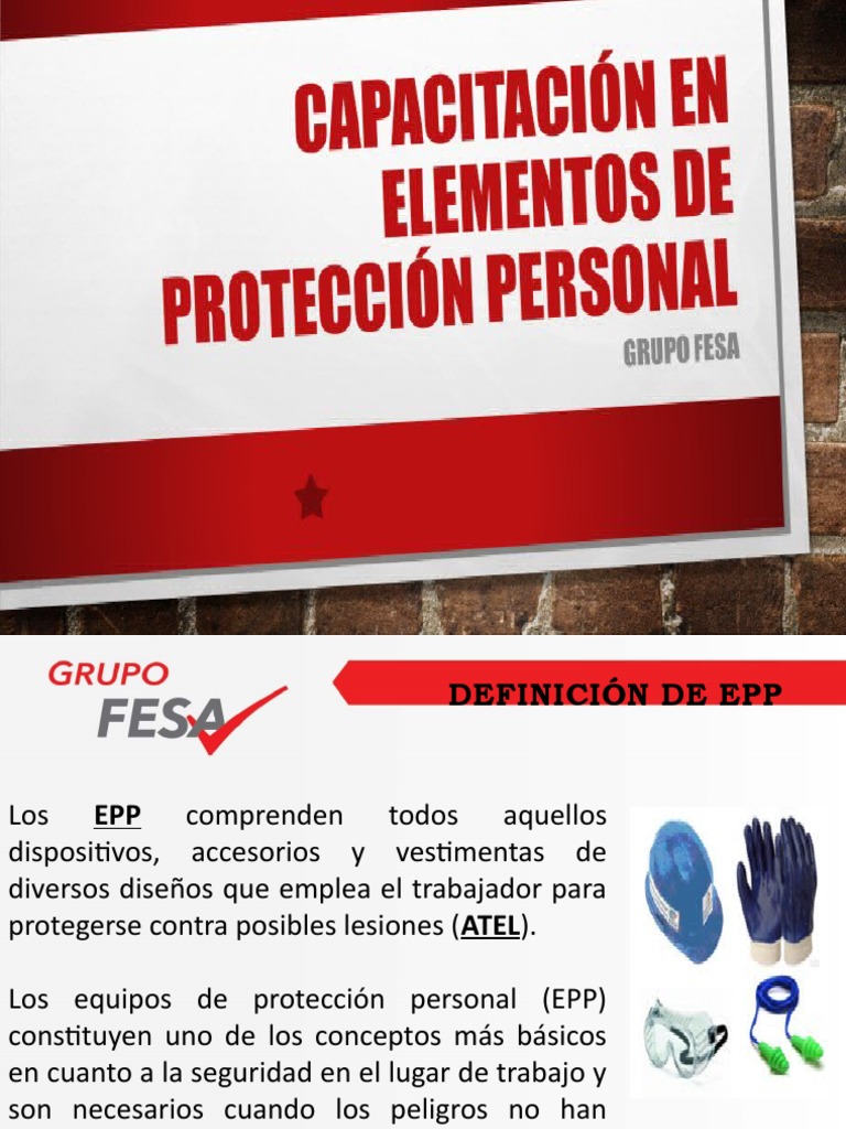 Presentacion Epp | PDF | Naturaleza
