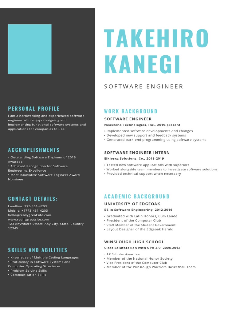 Takehiro Kanegi: Software Engineer | PDF