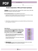 Video Recap of Codon Chart Video Companion by Amoeba Sisters | PDF ...