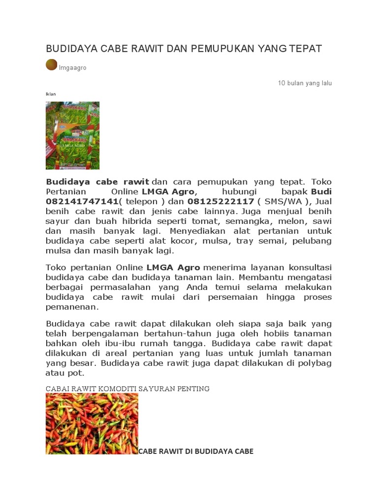 Budidaya Cabai | PDF | Griya & Taman