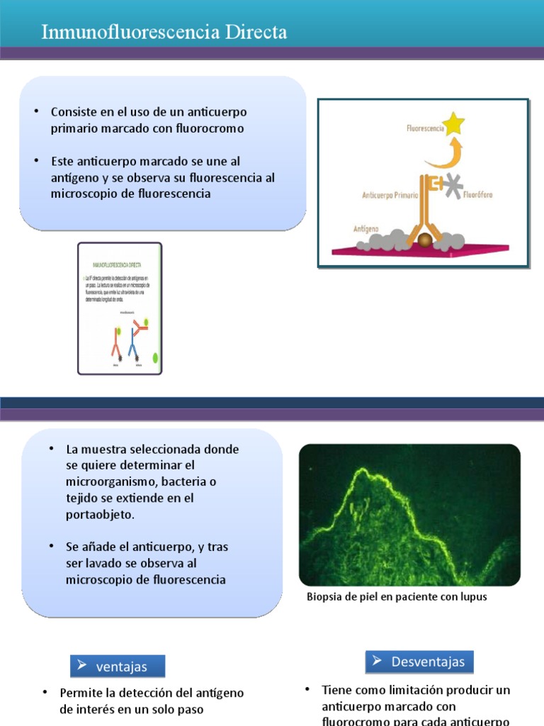 Inmunofluorescencia Directa | PDF