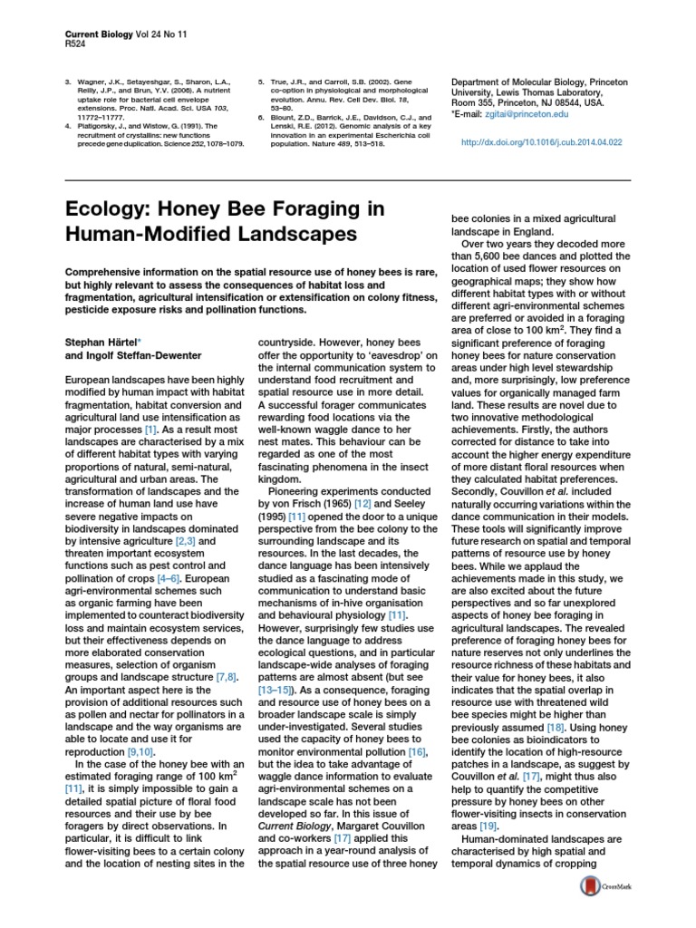 Human-Modified Landscapes | PDF | Actin | Bees