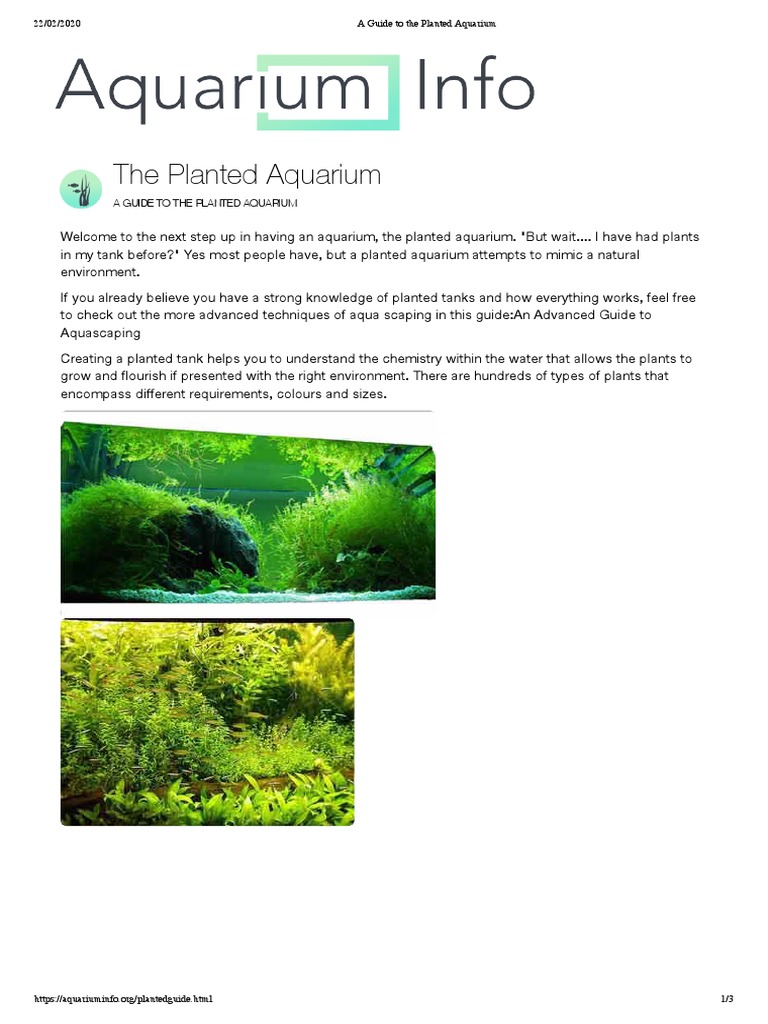 4.A Guide To The Planted Aquarium | PDF | Aquarium | Plants