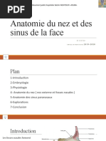 Anat Physio ORL | PDF | Oreille | Système vestibulaire