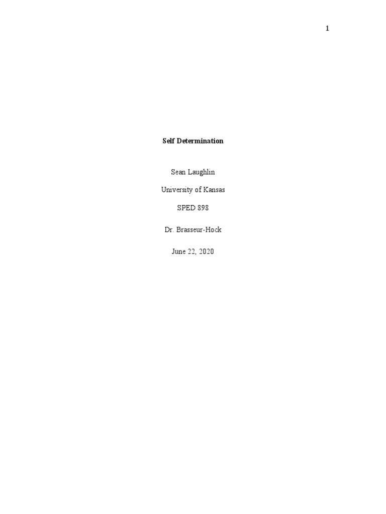 Sean Laughlin 875 Self Determination Reflection | PDF | Lesson Plan ...