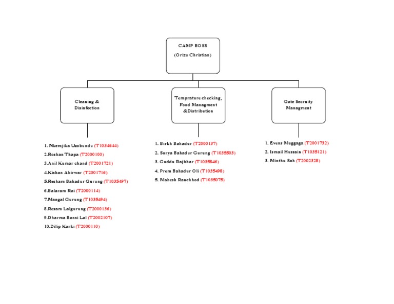Camp Boss Chart | PDF