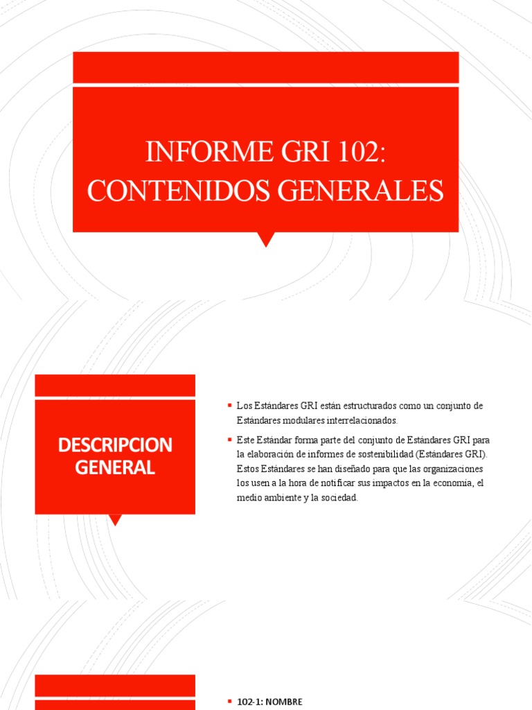 Informe Gri 102 | Descargar gratis PDF | Evaluación | Interés