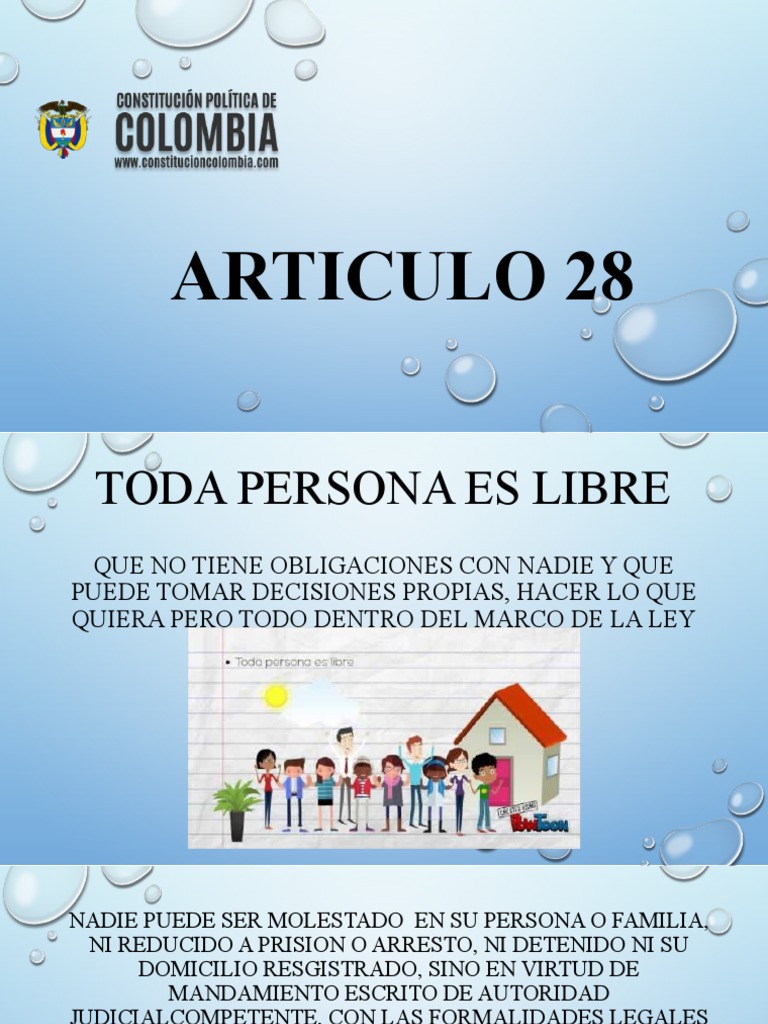 Presentacion Articulo 28 | PDF