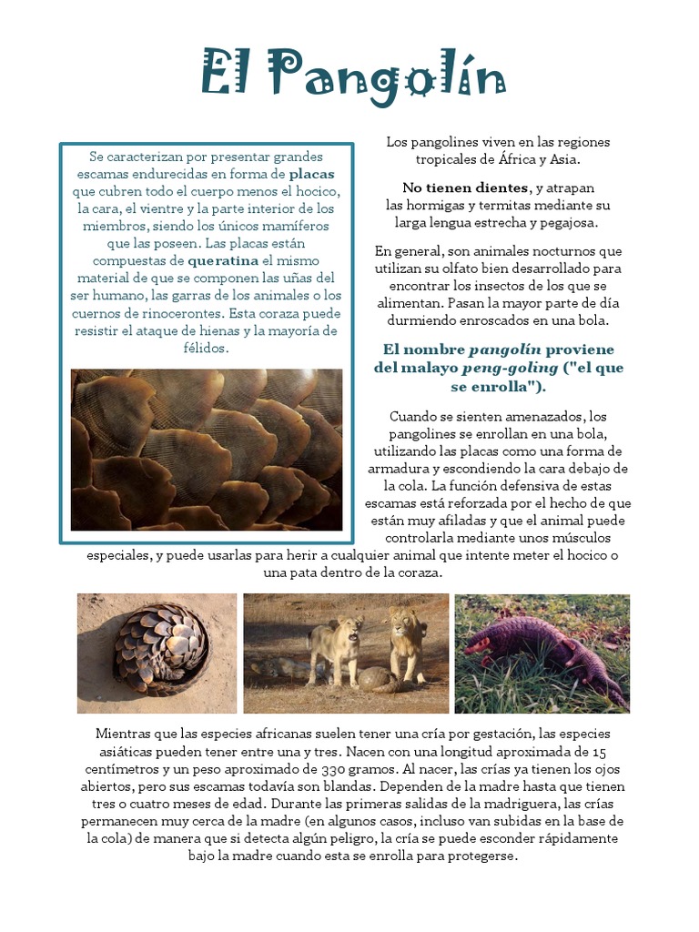 El Pangolin 0 | PDF | Naturaleza